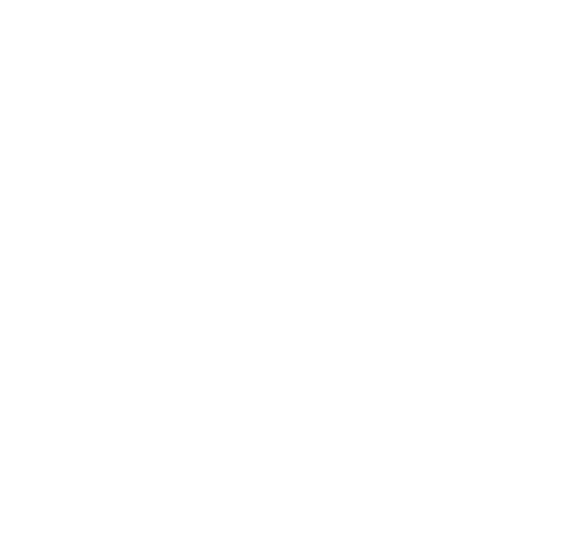 The Bridge Sports Complex